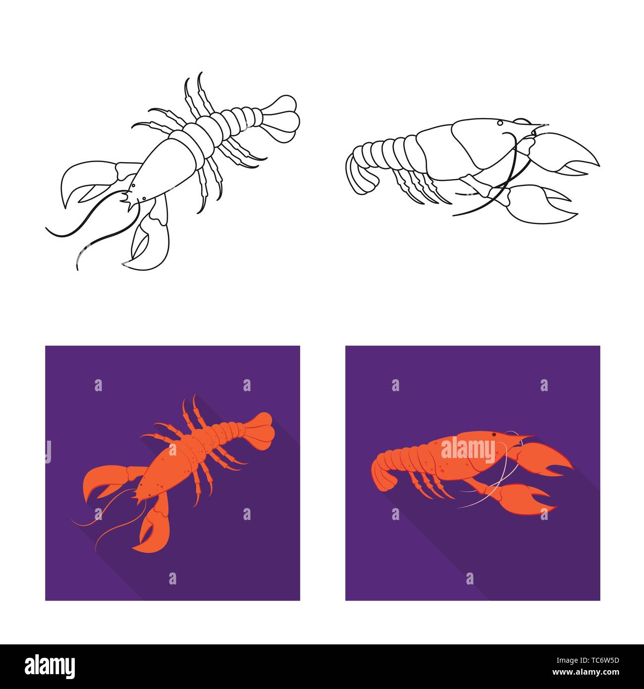 Vector illustration of appetizer and ocean icon. Collection of ...