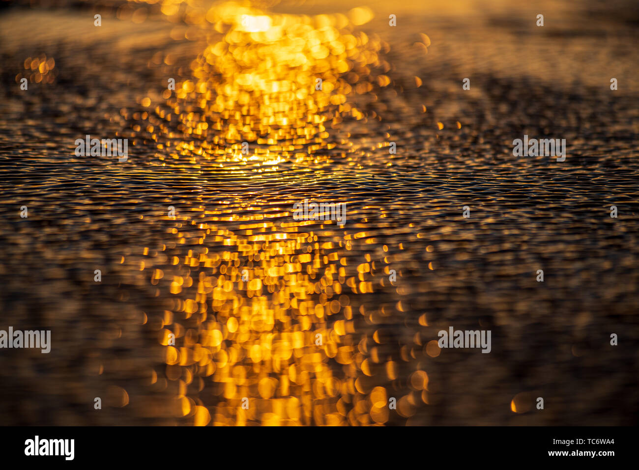 sunset light reflection in the beach wet sand and water. abstract ...