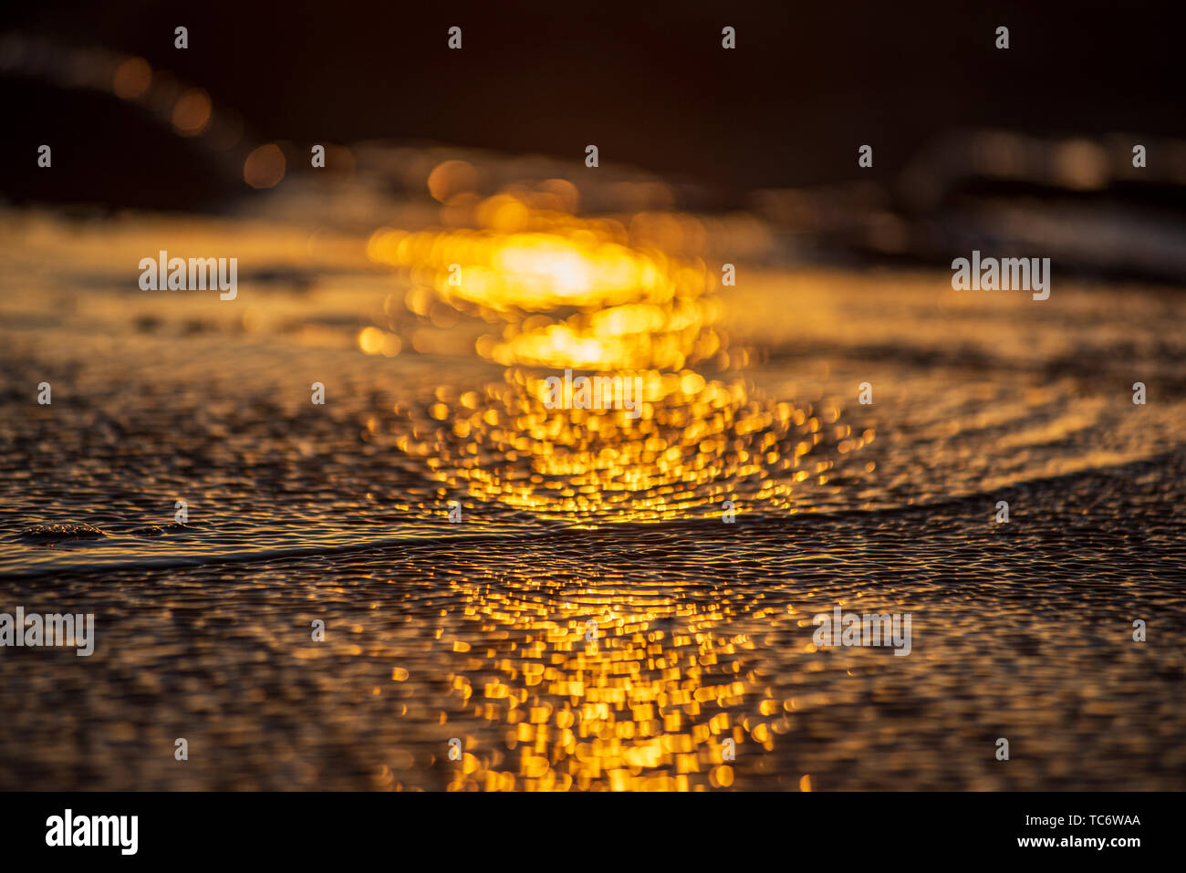 sunset light reflection in the beach wet sand and water. abstract ...