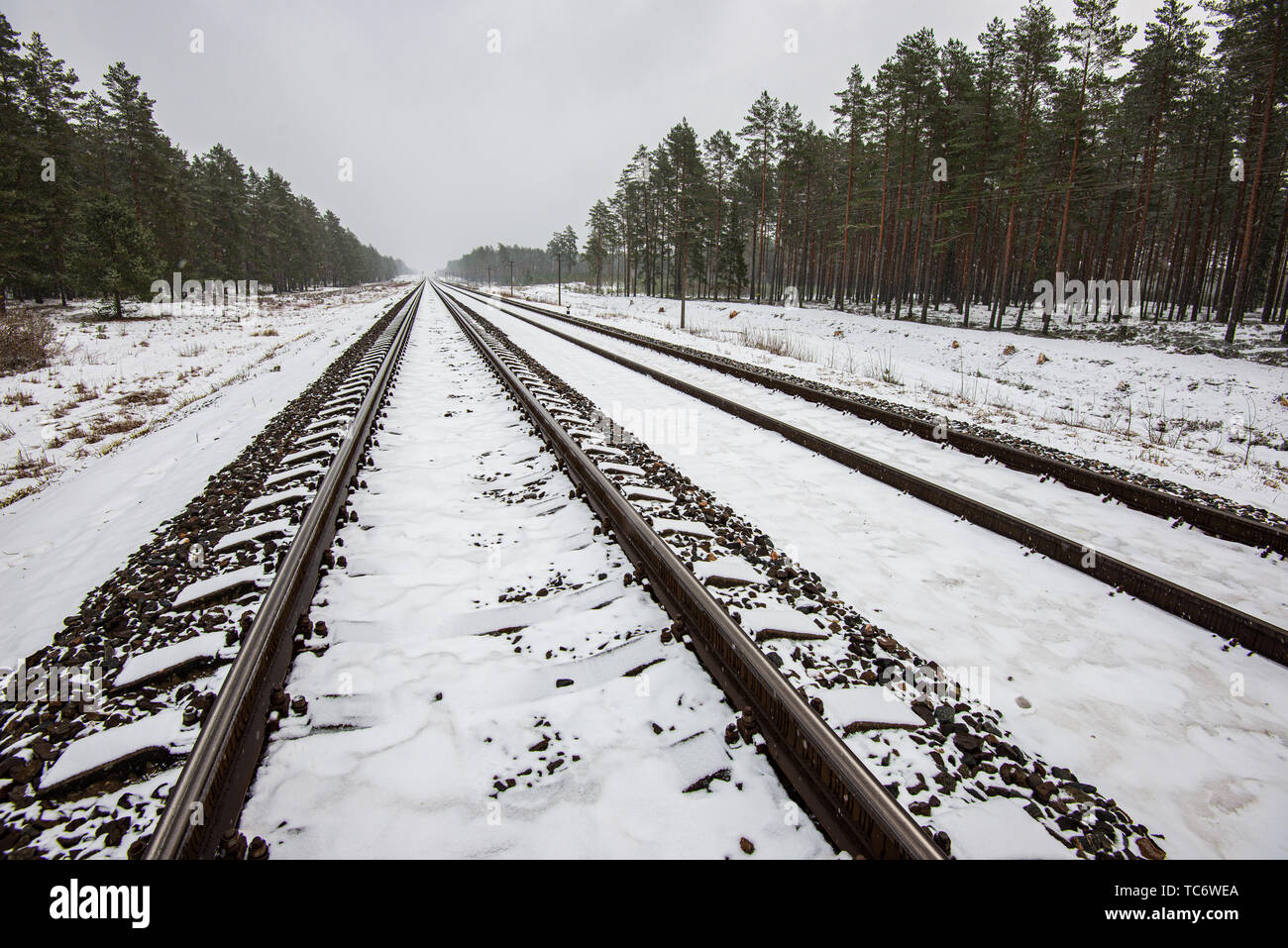 railroad tracks in winter under snow. perspective in snowy day Stock ...