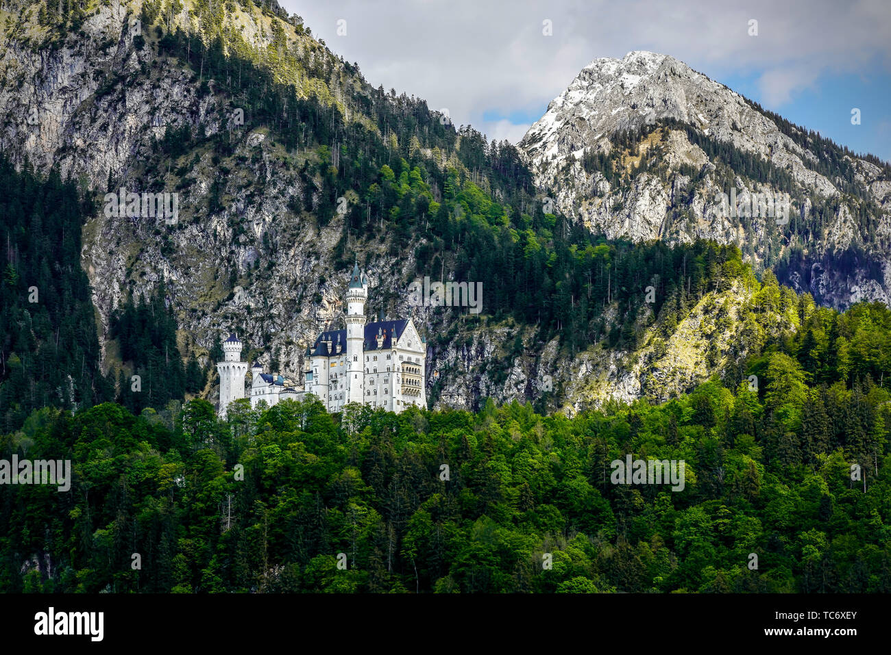 Fabulous Neuschwanstein Castle in the Bavarian alpine landscape of ...