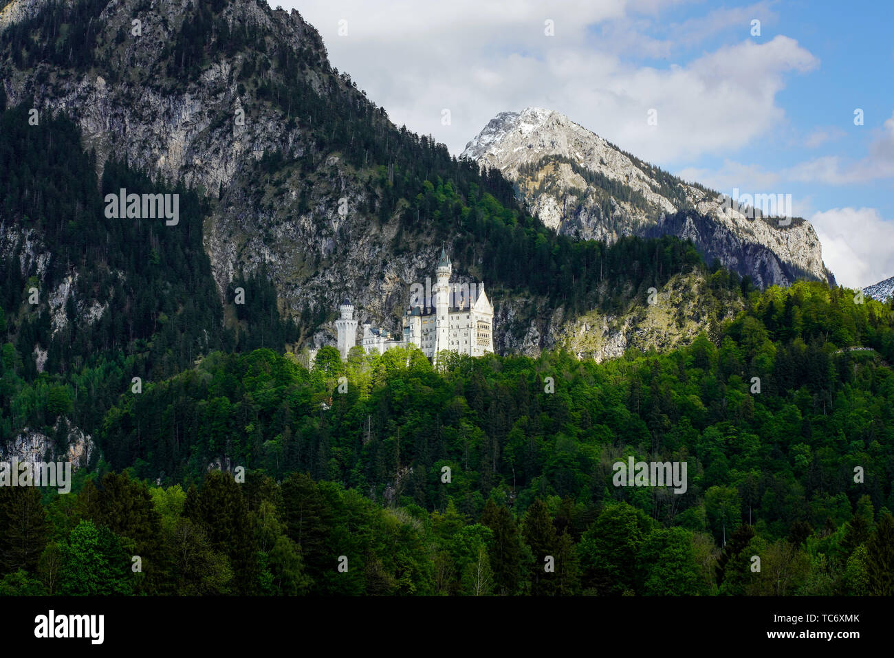Fabulous Neuschwanstein Castle in the Bavarian alpine landscape of ...