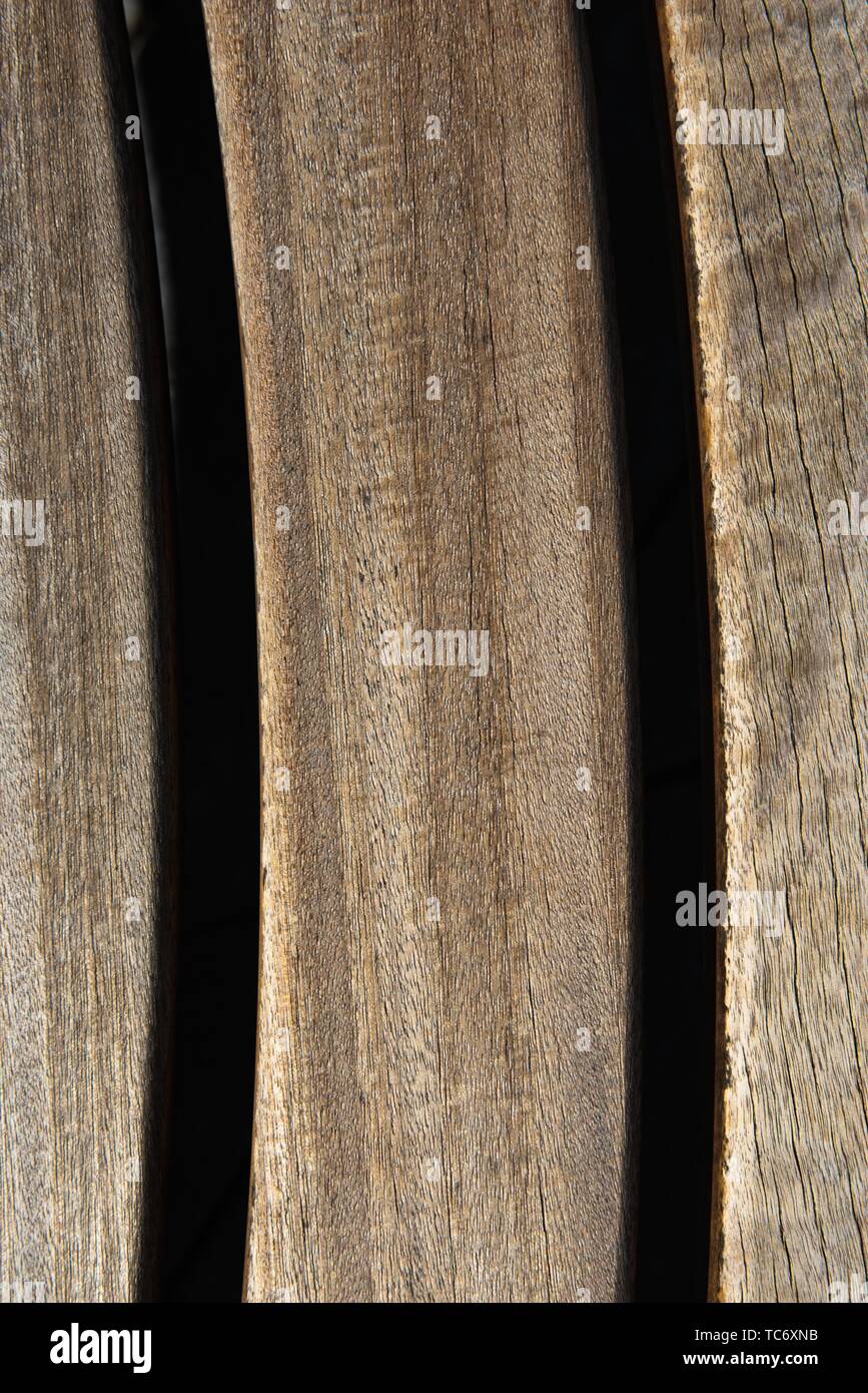 Wooden modern trendy design round circular park bench Stock Photo - Alamy