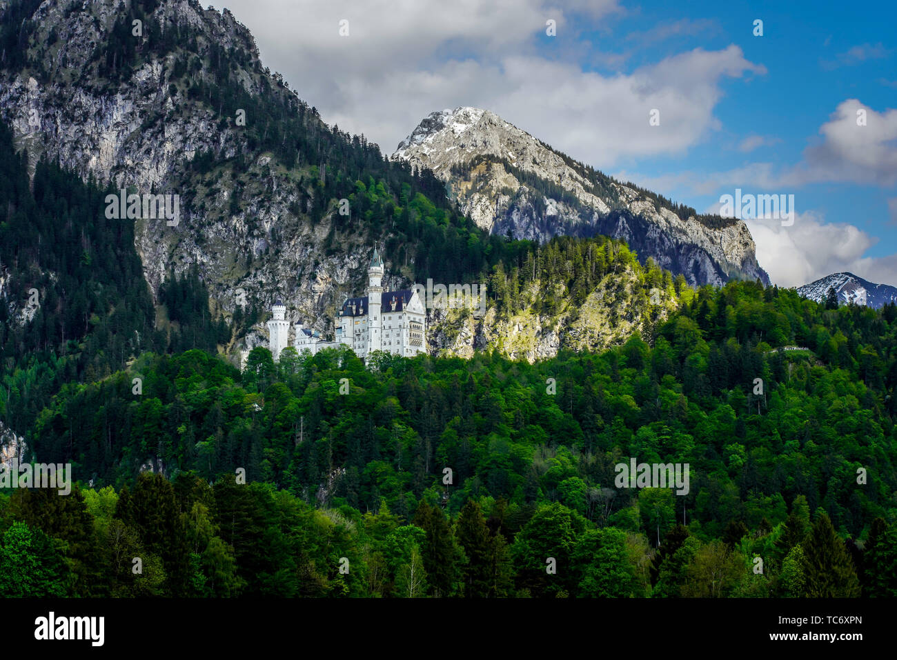 Fabulous Neuschwanstein Castle in the Bavarian alpine landscape of ...