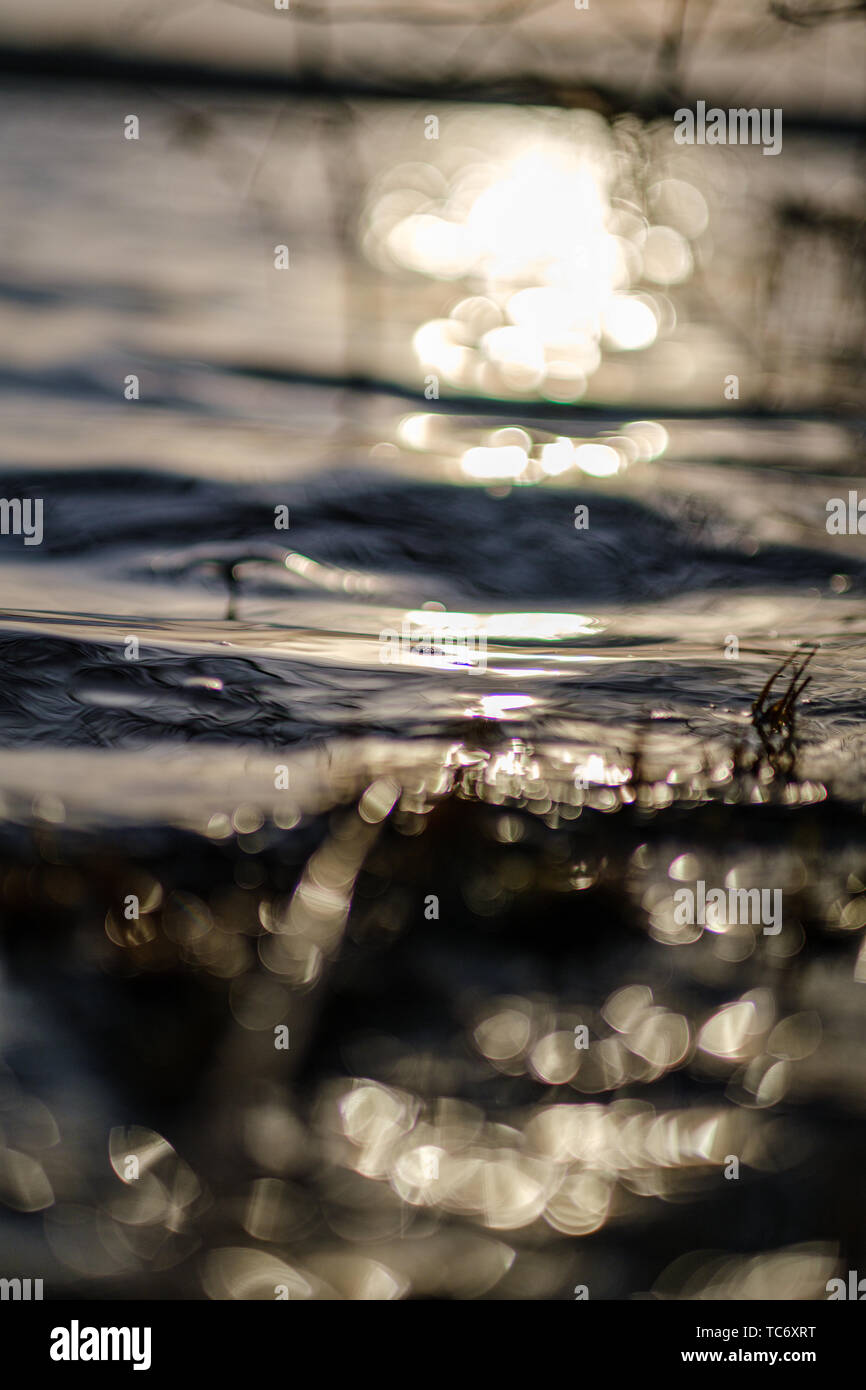 sunset light reflection in the beach wet sand and water. abstract ...