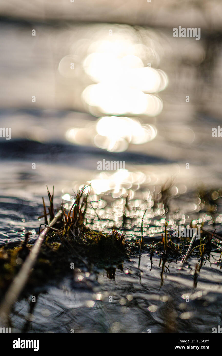 sunset light reflection in the beach wet sand and water. abstract ...
