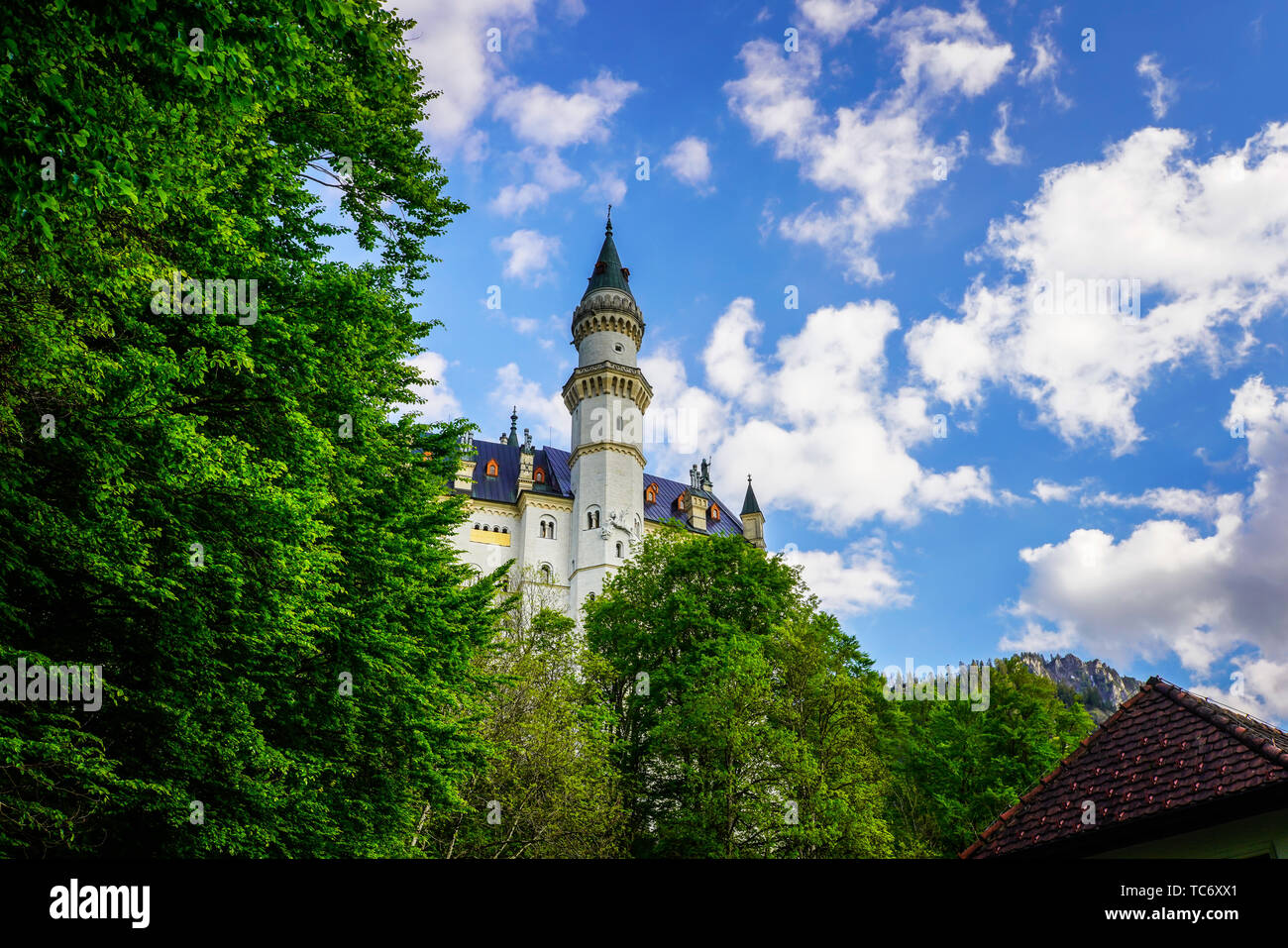 Fabulous Neuschwanstein Castle in the Bavarian alpine landscape of ...