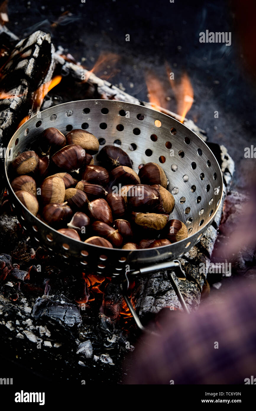 Roasted fresh sweet chestnuts in a metal roaster over hot coals on a ...