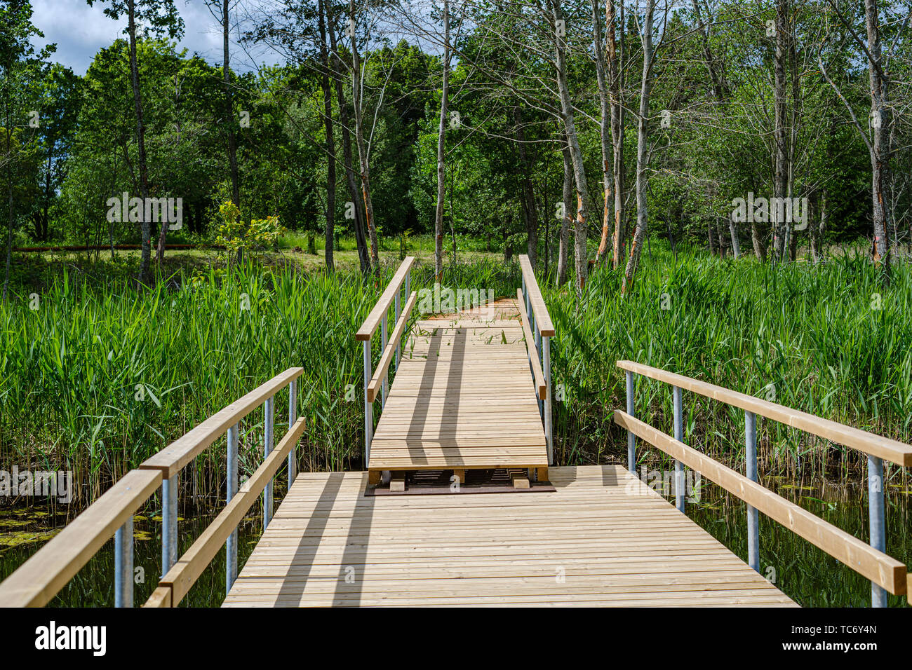 beautiful wooden plank pathway walkway in green pasture in summer ...