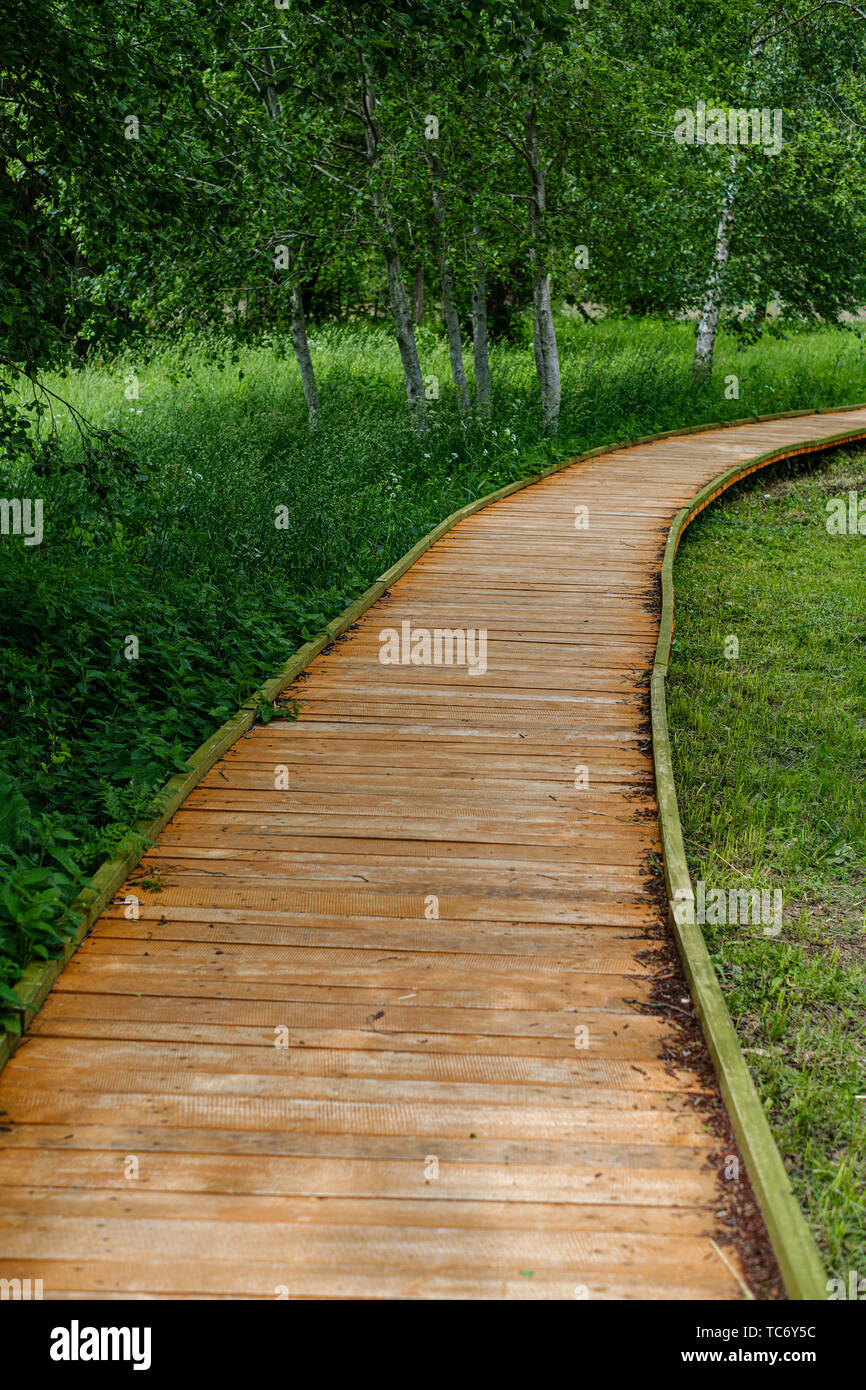 beautiful wooden plank pathway walkway in green pasture in summer ...