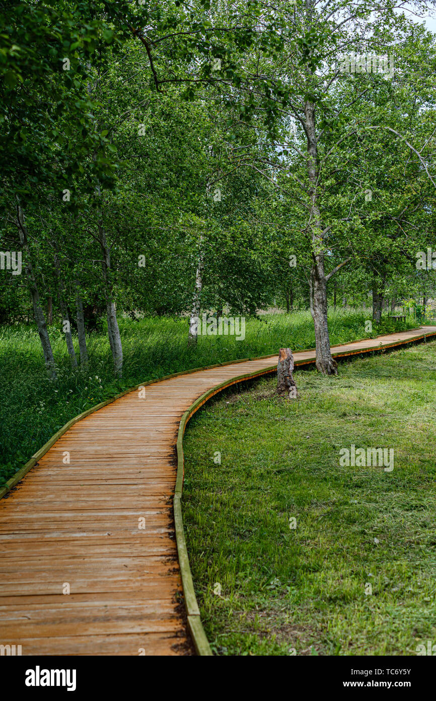 beautiful wooden plank pathway walkway in green pasture in summer ...