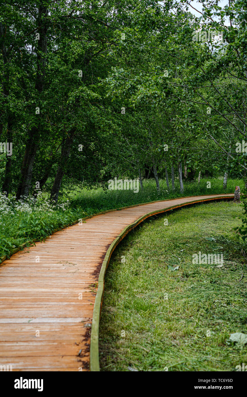 beautiful wooden plank pathway walkway in green pasture in summer ...