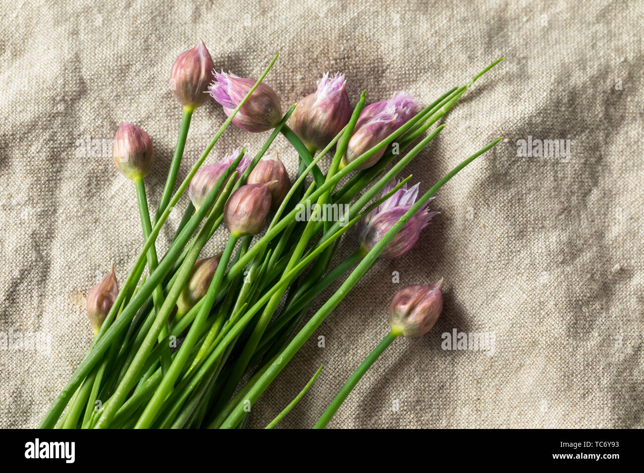Raw Green Organic Flowering Chives Ready to Cook With Stock Photo - Alamy