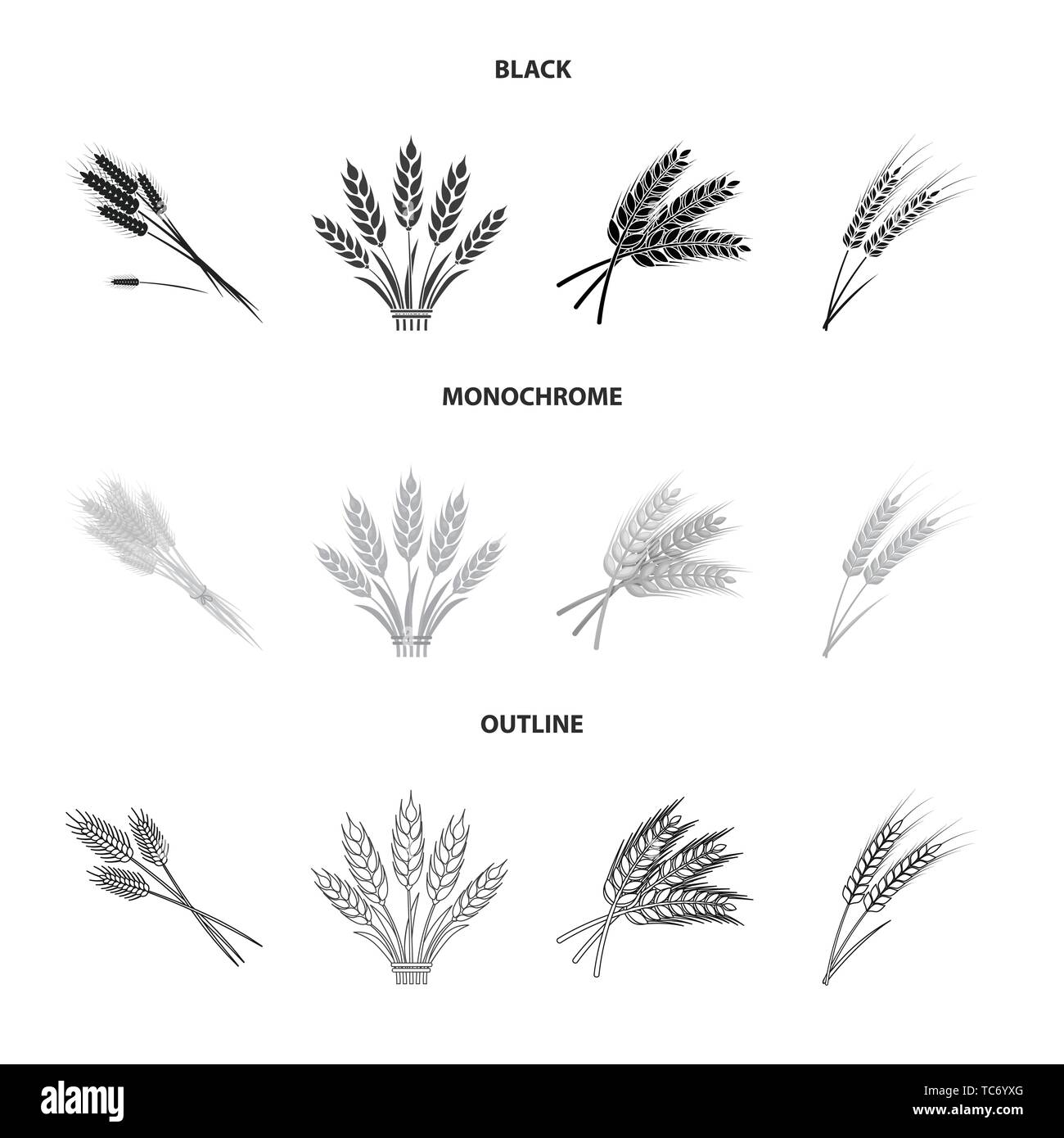 Wheat Stalk Illustration