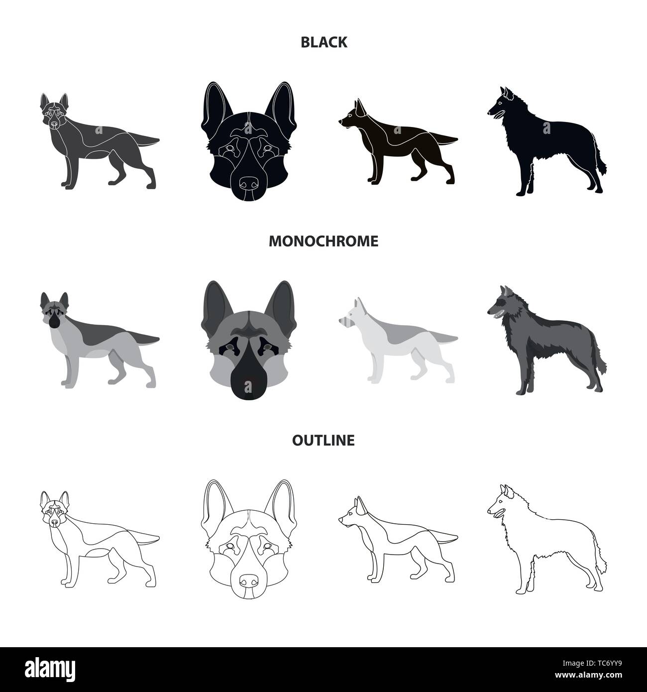 Vector illustration of sheepdog and sheltie logo. Collection of ...