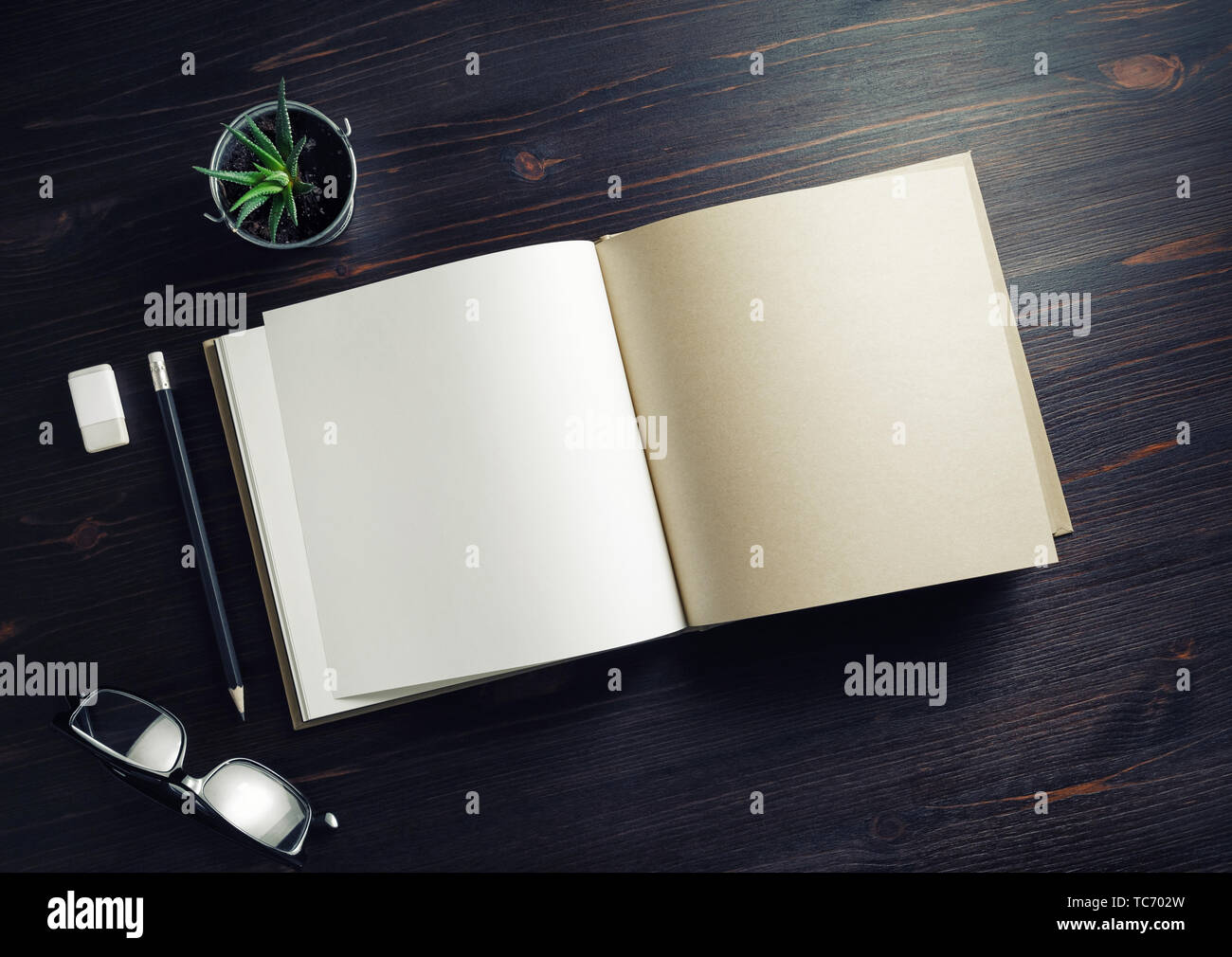 Blank opened booklet, stationery and plant on wood table background ...
