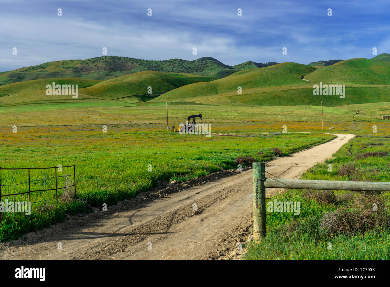 The green hills of the Temblor Range, near Taft, California, USA Stock ...