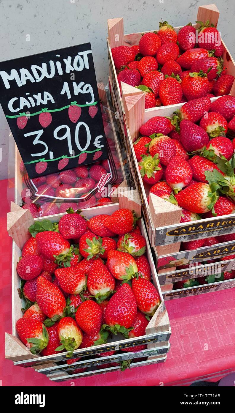 Fragaria genus hi-res stock photography and images - Alamy