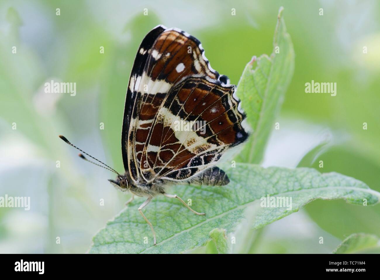 Map markings hi-res stock photography and images - Alamy