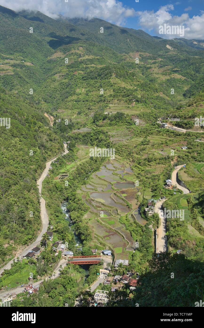 Cordillera philippines rice hi-res stock photography and images - Alamy