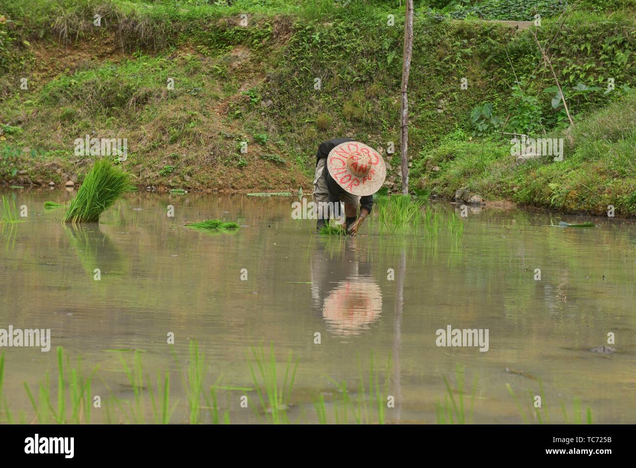 Banaue Rice Terrace High Resolution Stock Photography and Images - Alamy