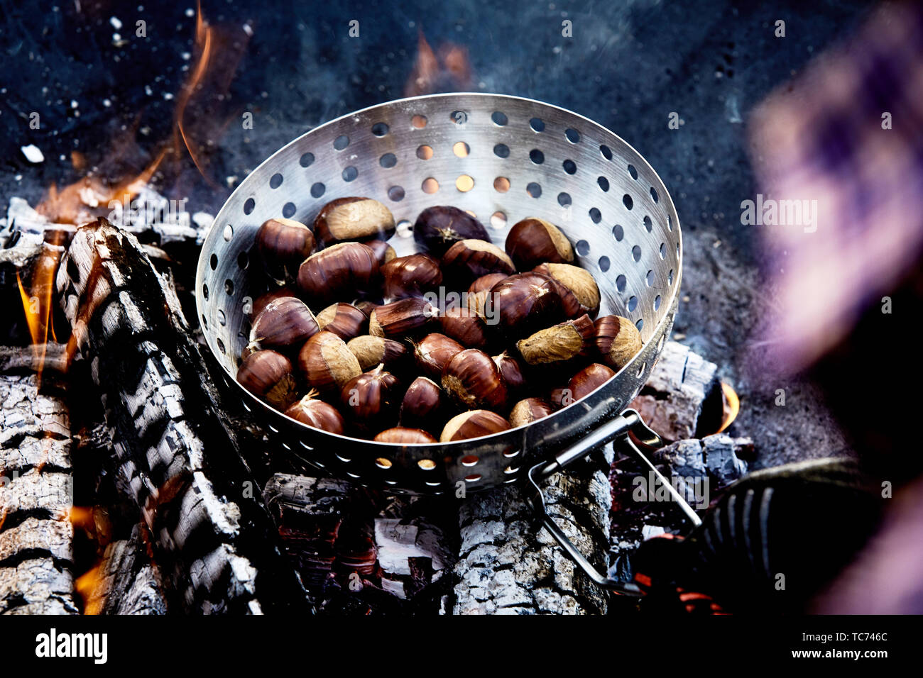 Roaster of fresh autumn chestnuts in their shells roasting over hot ...