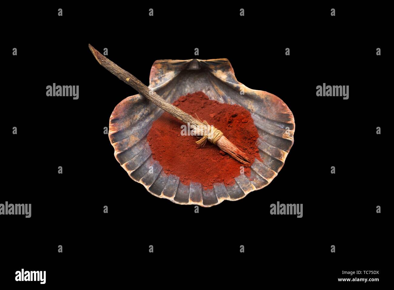 Shell Art Craft High Resolution Stock Photography and Images - Alamy