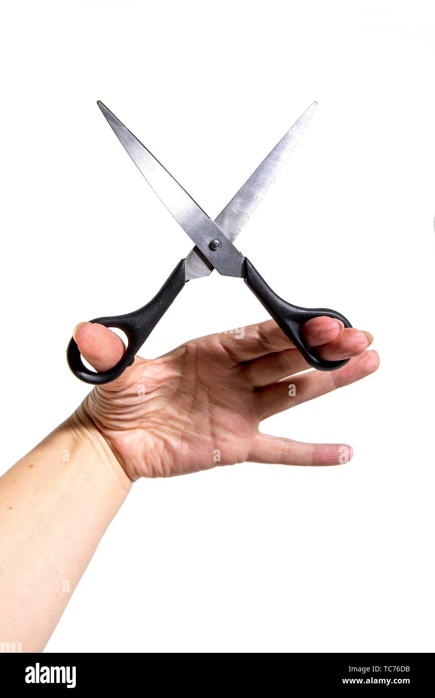 Display Of Scissors High Resolution Stock Photography and Images - Alamy