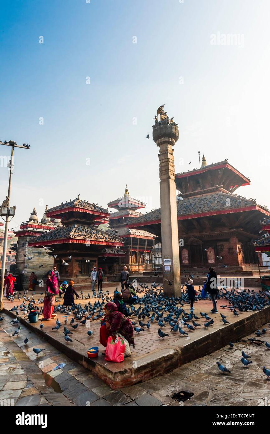 Column Pigeon Pigeons High Resolution Stock Photography and Images - Alamy