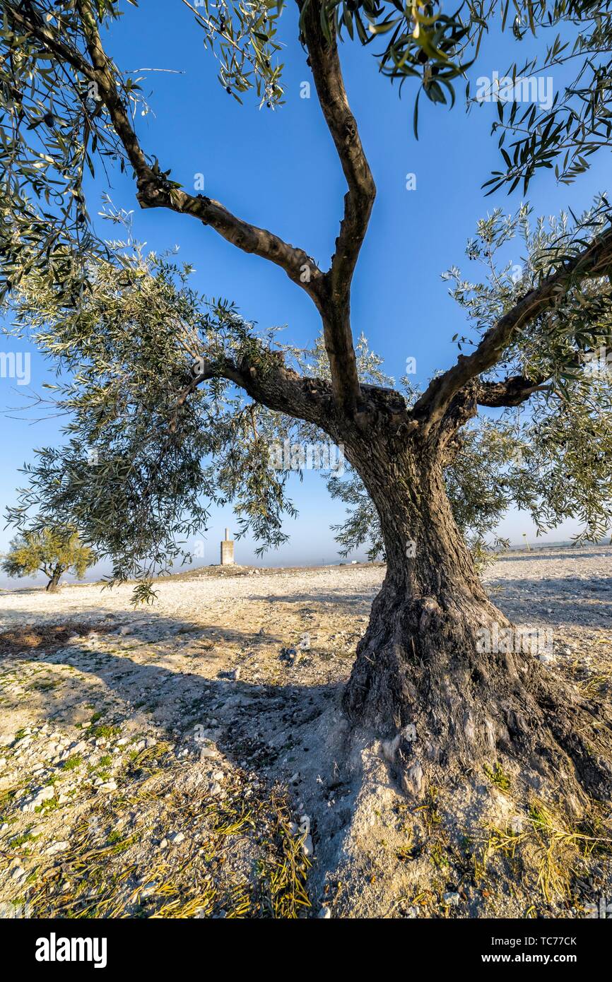 Geodesic Point High Resolution Stock Photography and Images - Alamy