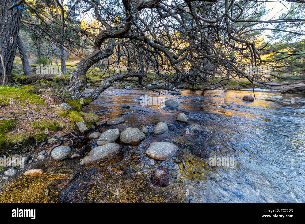 Rascafria spain hi-res stock photography and images - Alamy