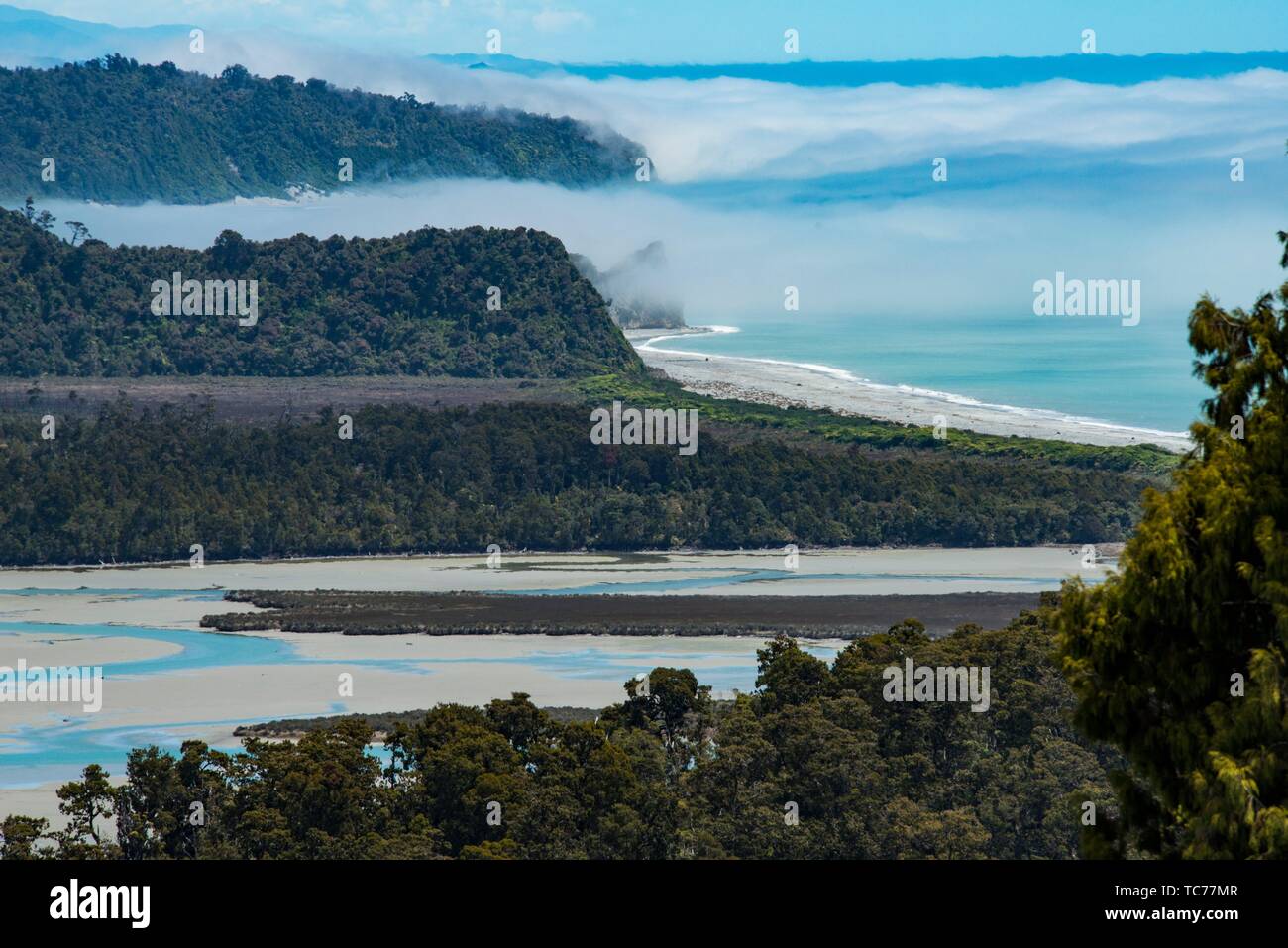 Okarito brown kiwi hi-res stock photography and images - Alamy