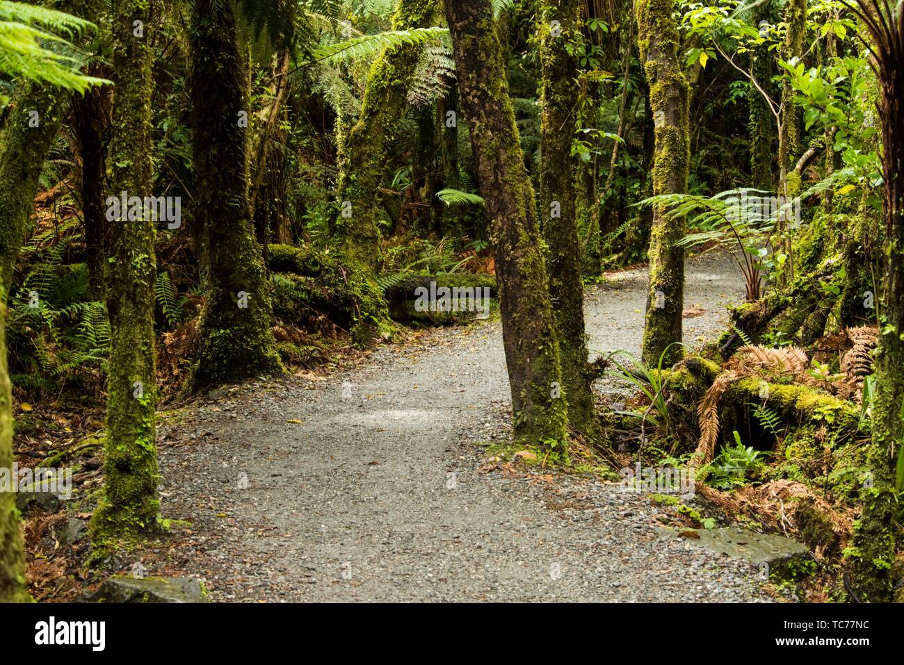 West coast track hi-res stock photography and images - Alamy