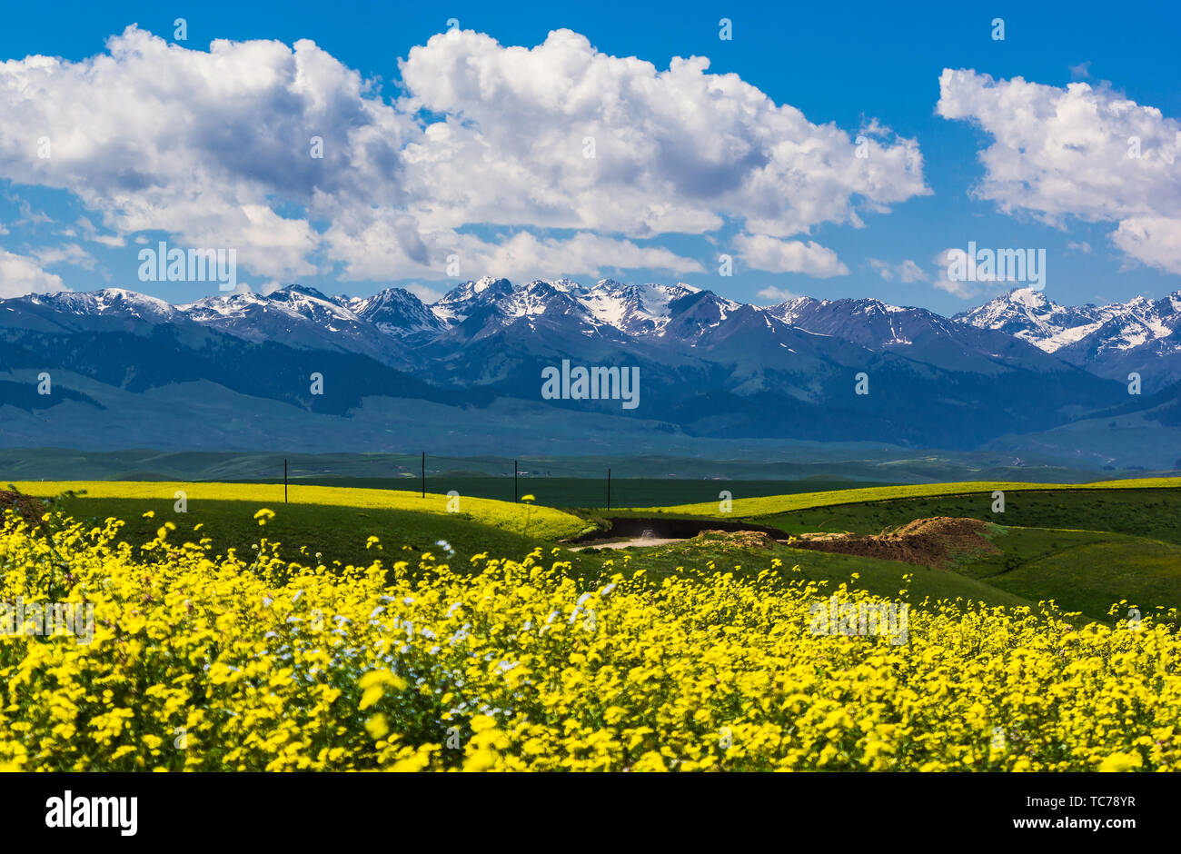 Xinjiang tianshan grassland landscape hi-res stock photography and ...