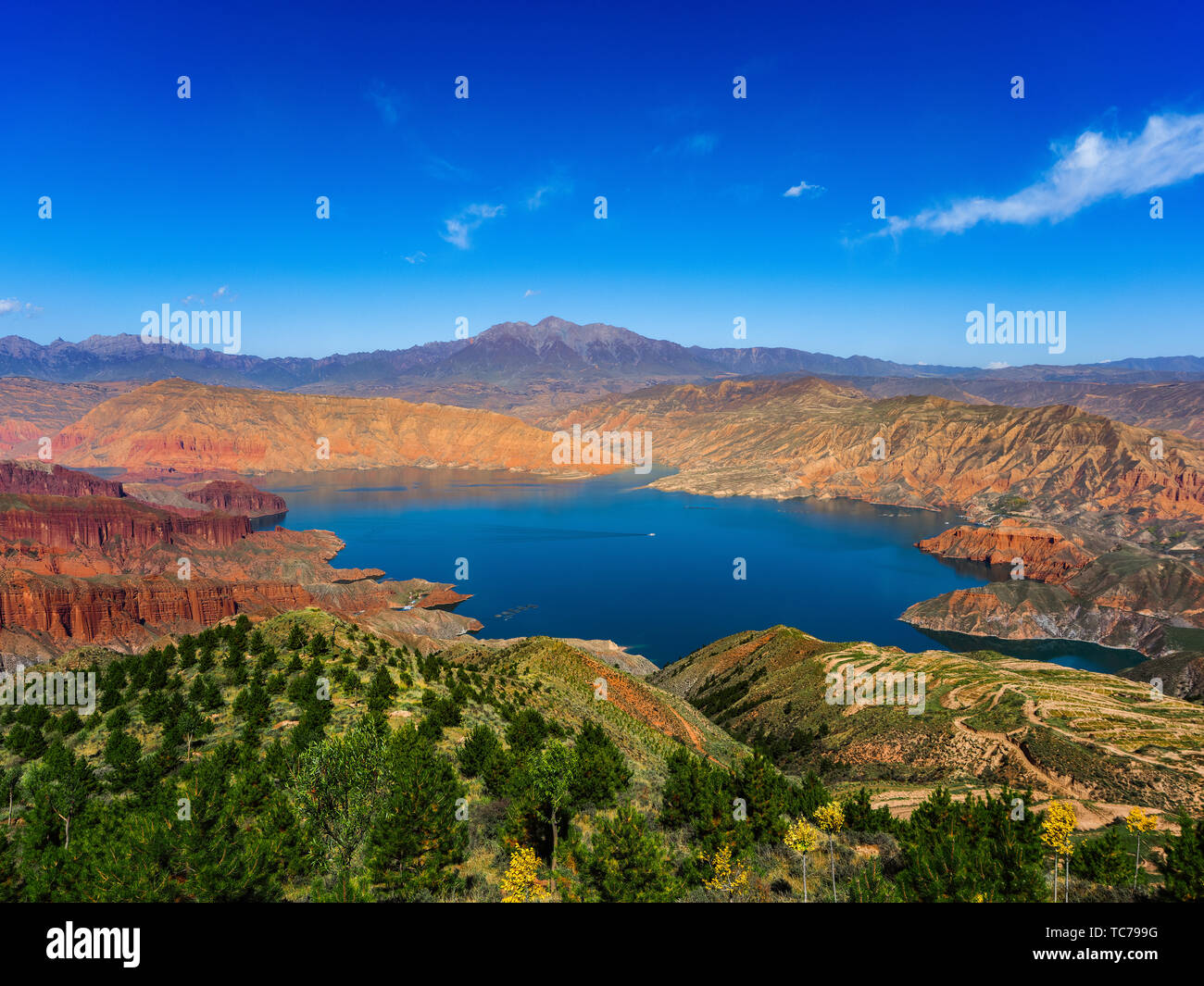 Cambra hi-res stock photography and images - Alamy