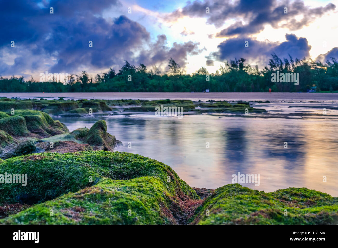 The beach in the morning Stock Photo - Alamy