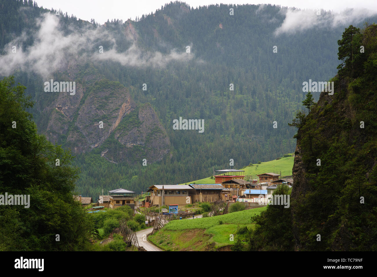 Zagana hi-res stock photography and images - Alamy