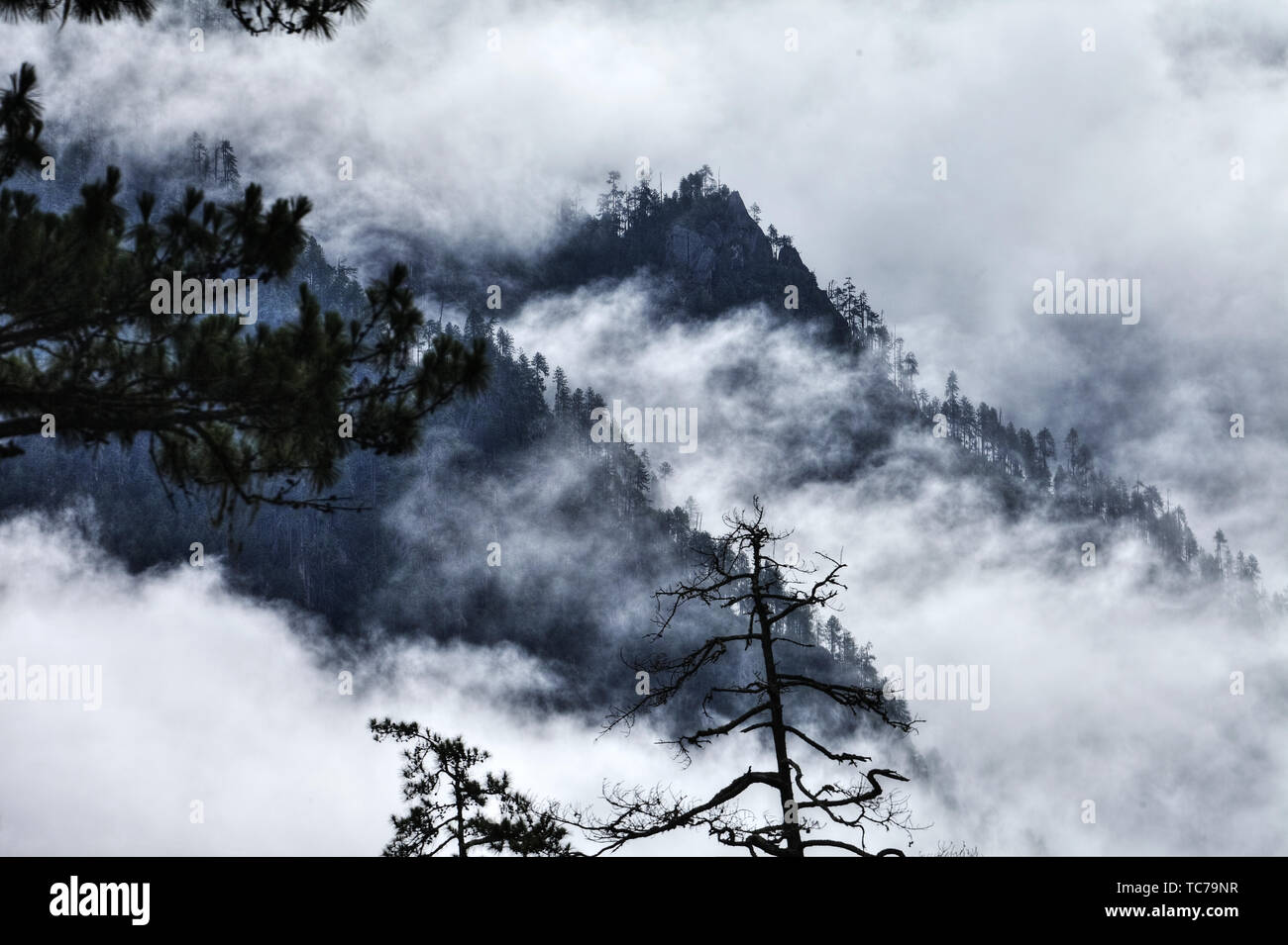 Dan fog hi-res stock photography and images - Alamy