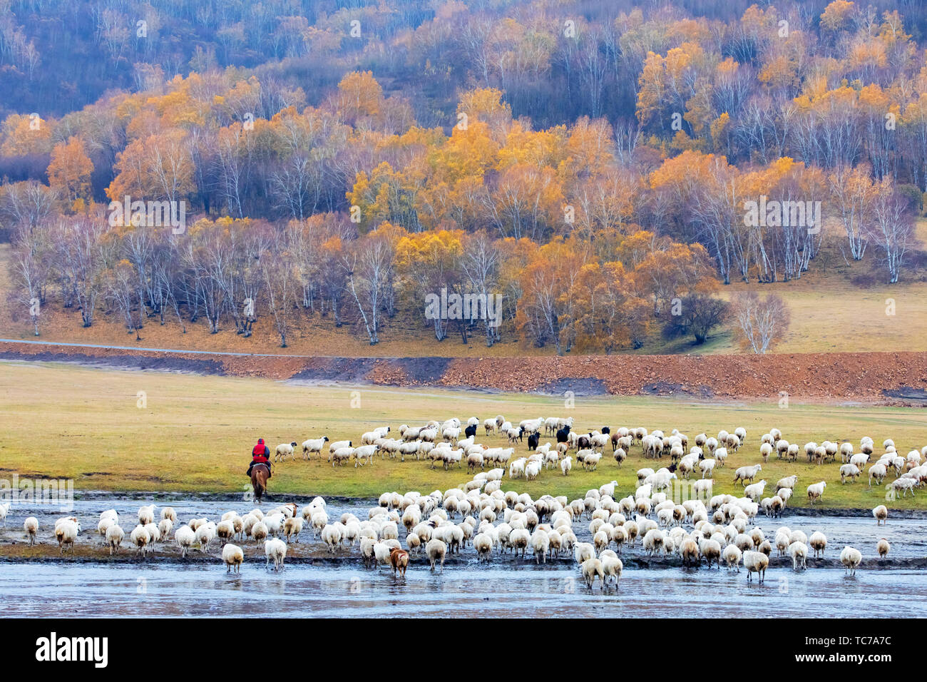 Autumn color on the dam Stock Photo - Alamy
