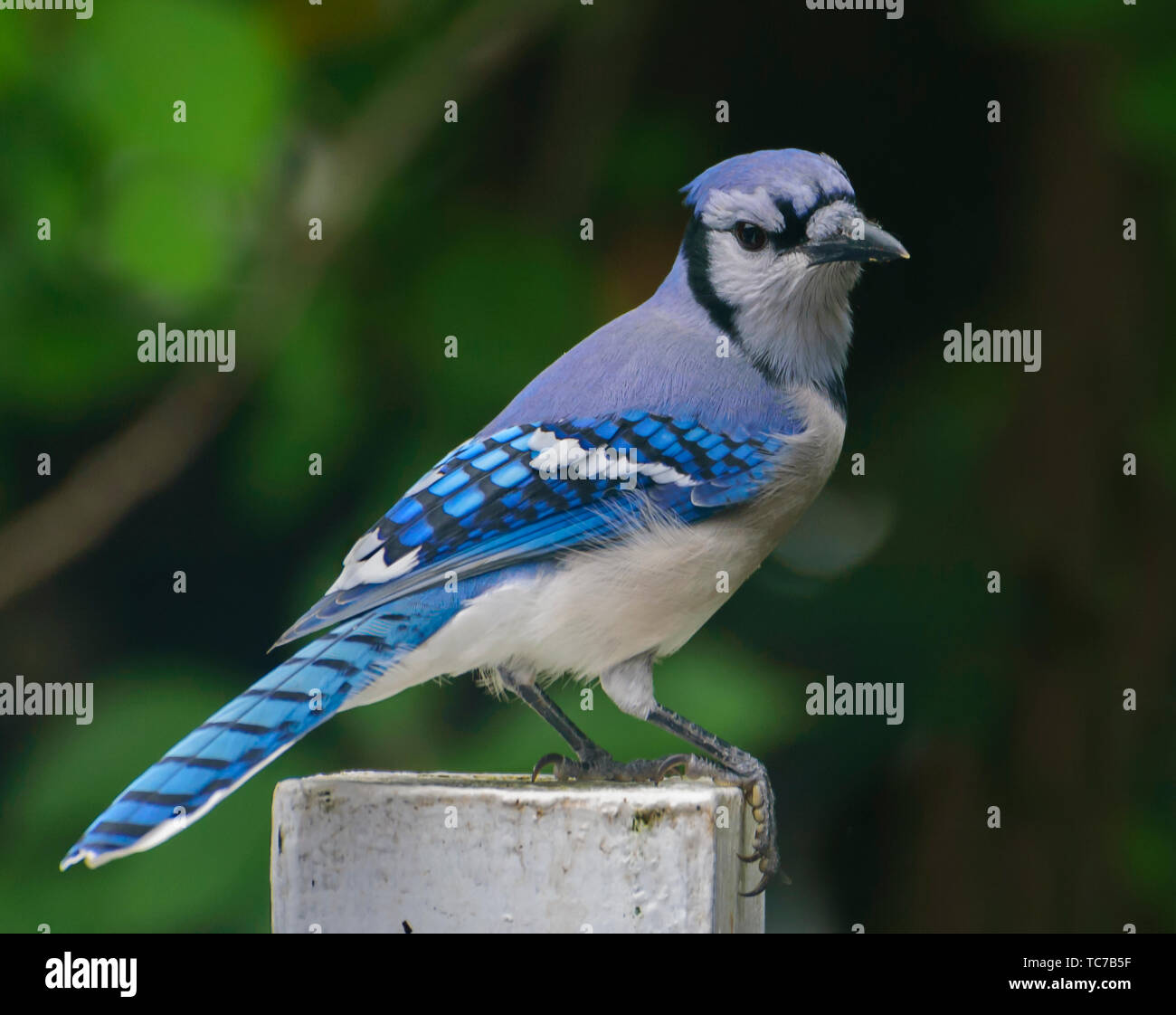 Southeastern pennsylvania hi-res stock photography and images - Alamy