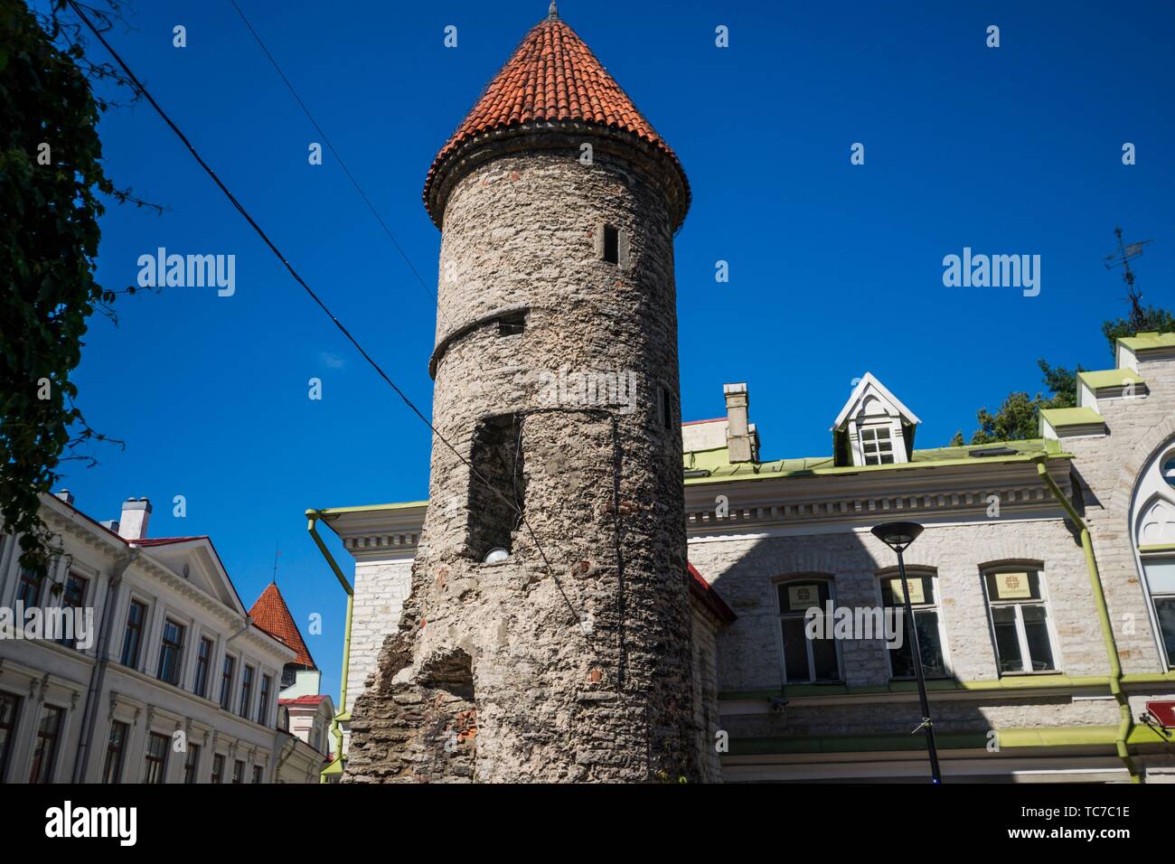 Viru varav hi-res stock photography and images - Alamy