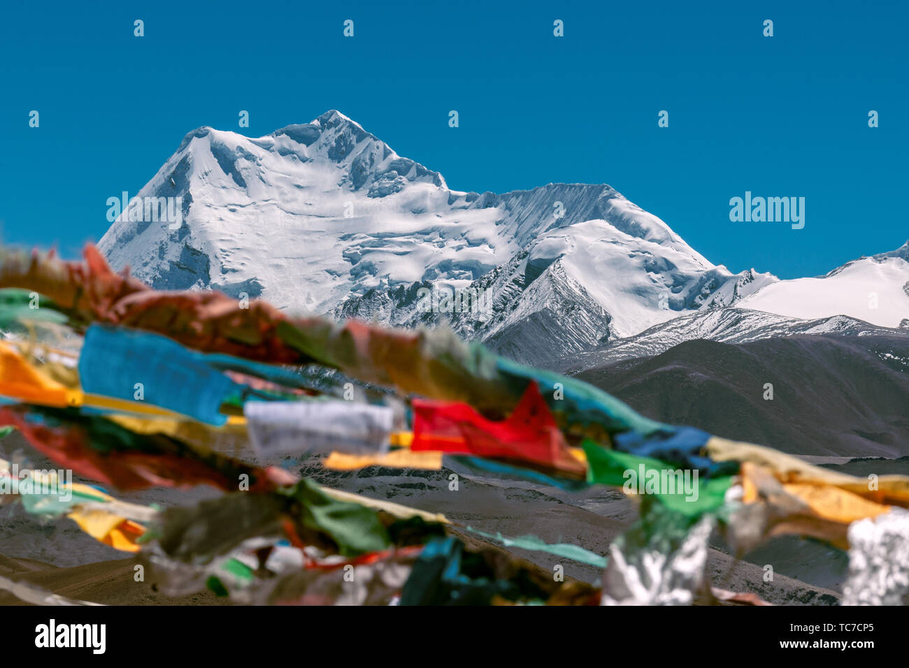 Tibetan wild donkeys hi-res stock photography and images - Alamy
