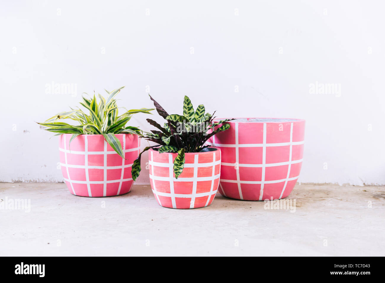 Creative flower pots and greenery Stock Photo - Alamy