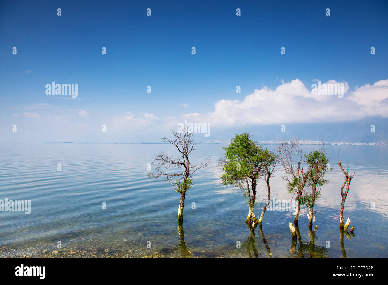 Erhai water scenery hi-res stock photography and images - Alamy