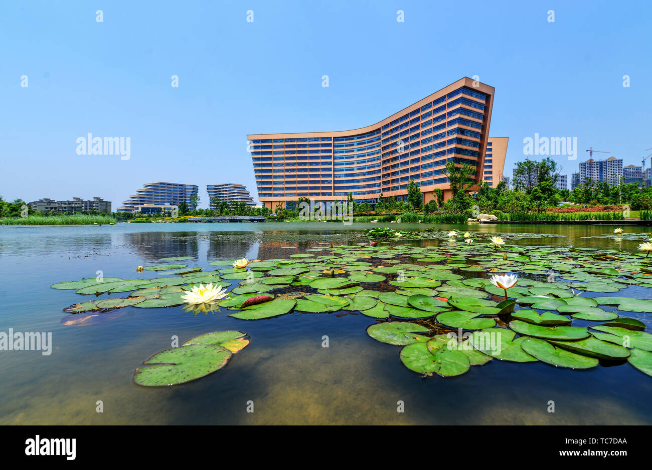 First Research Institute of the Chinese University of Science and ...