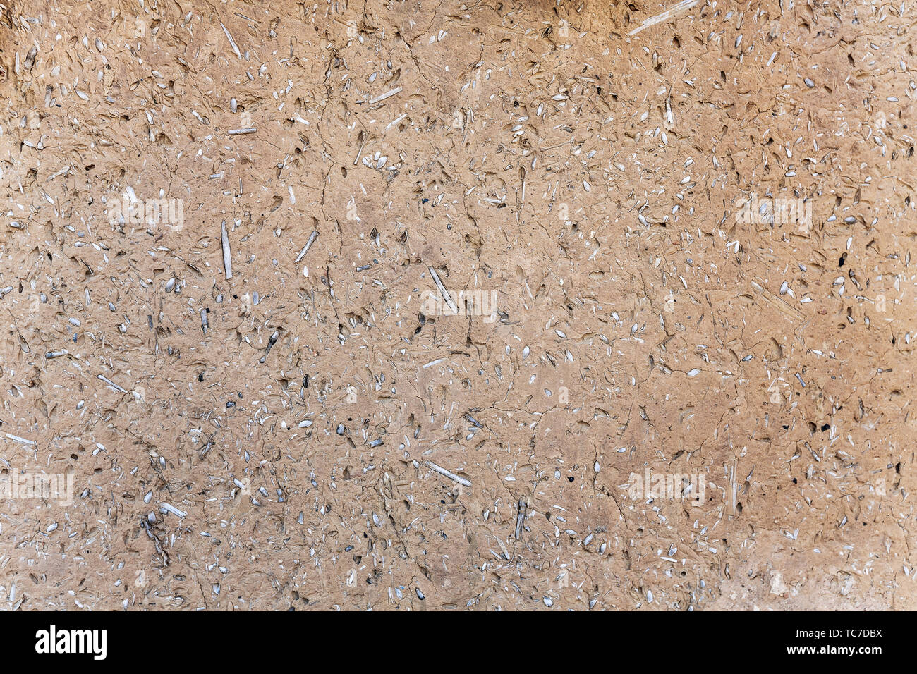 Loess texture hi-res stock photography and images - Alamy