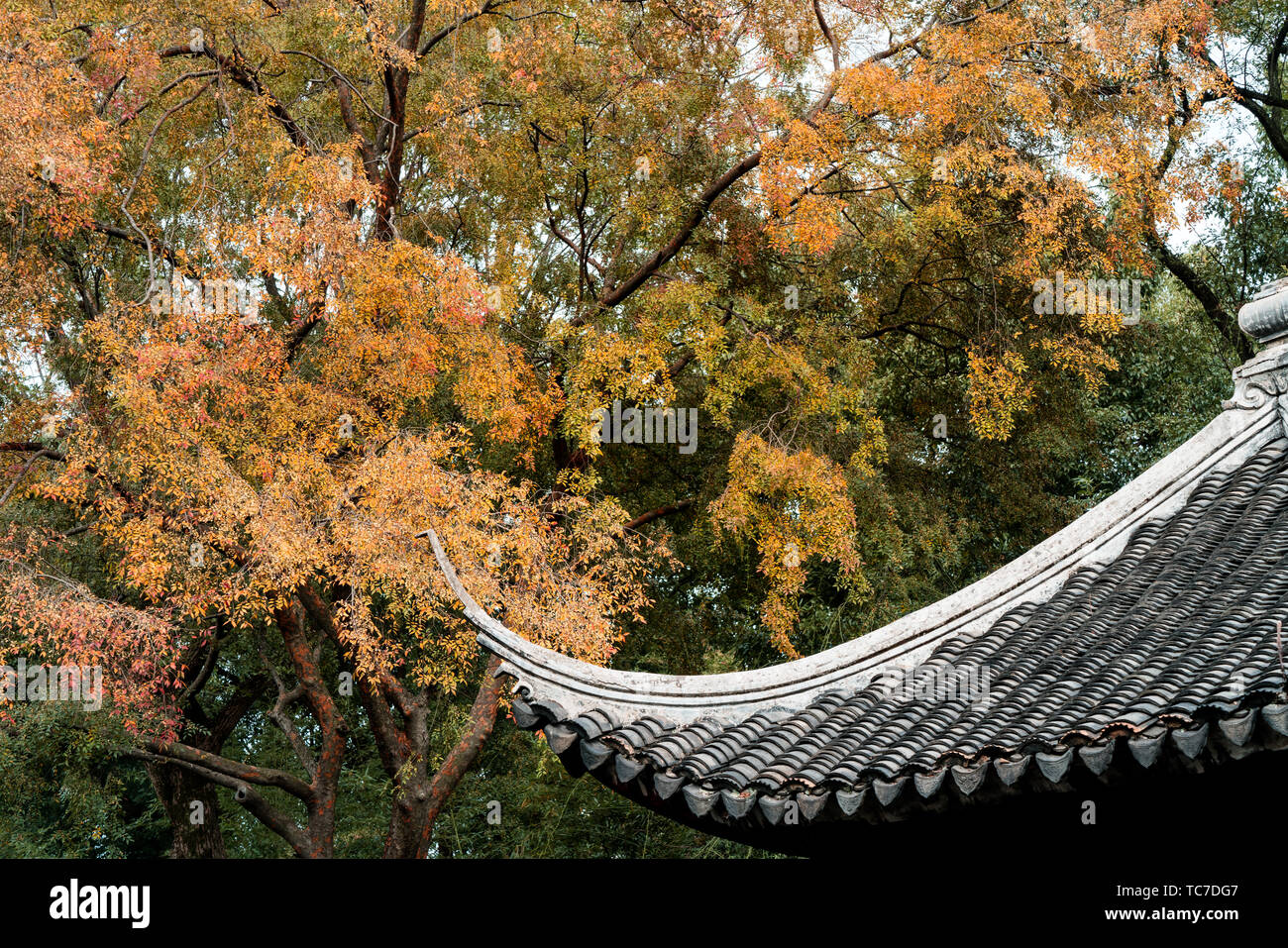 Suzhou Garden Autumn Garden Landscape Stock Photo - Alamy