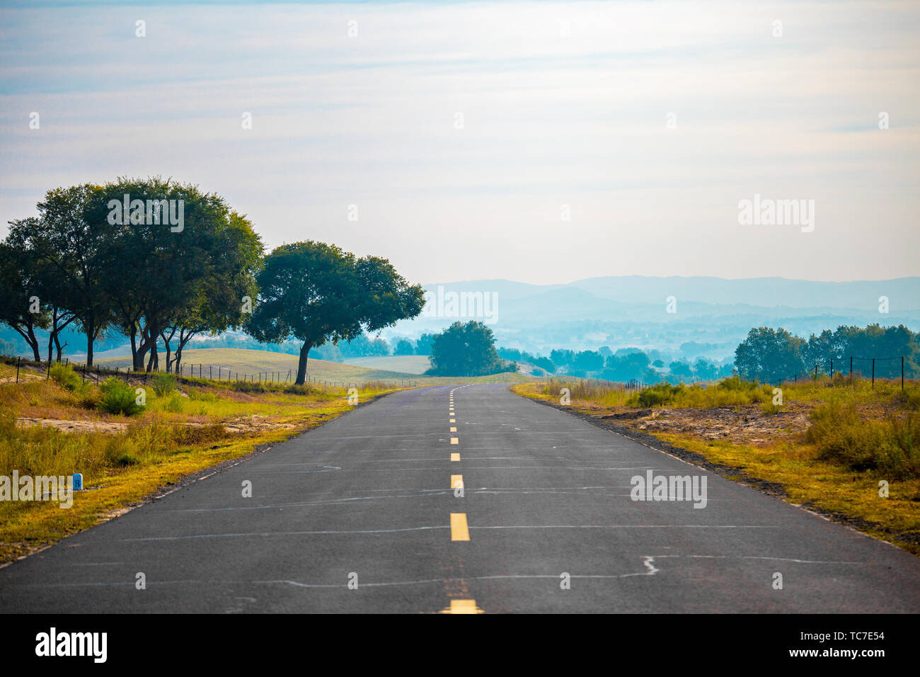 Road landscape with no one tree guide hi-res stock photography and ...