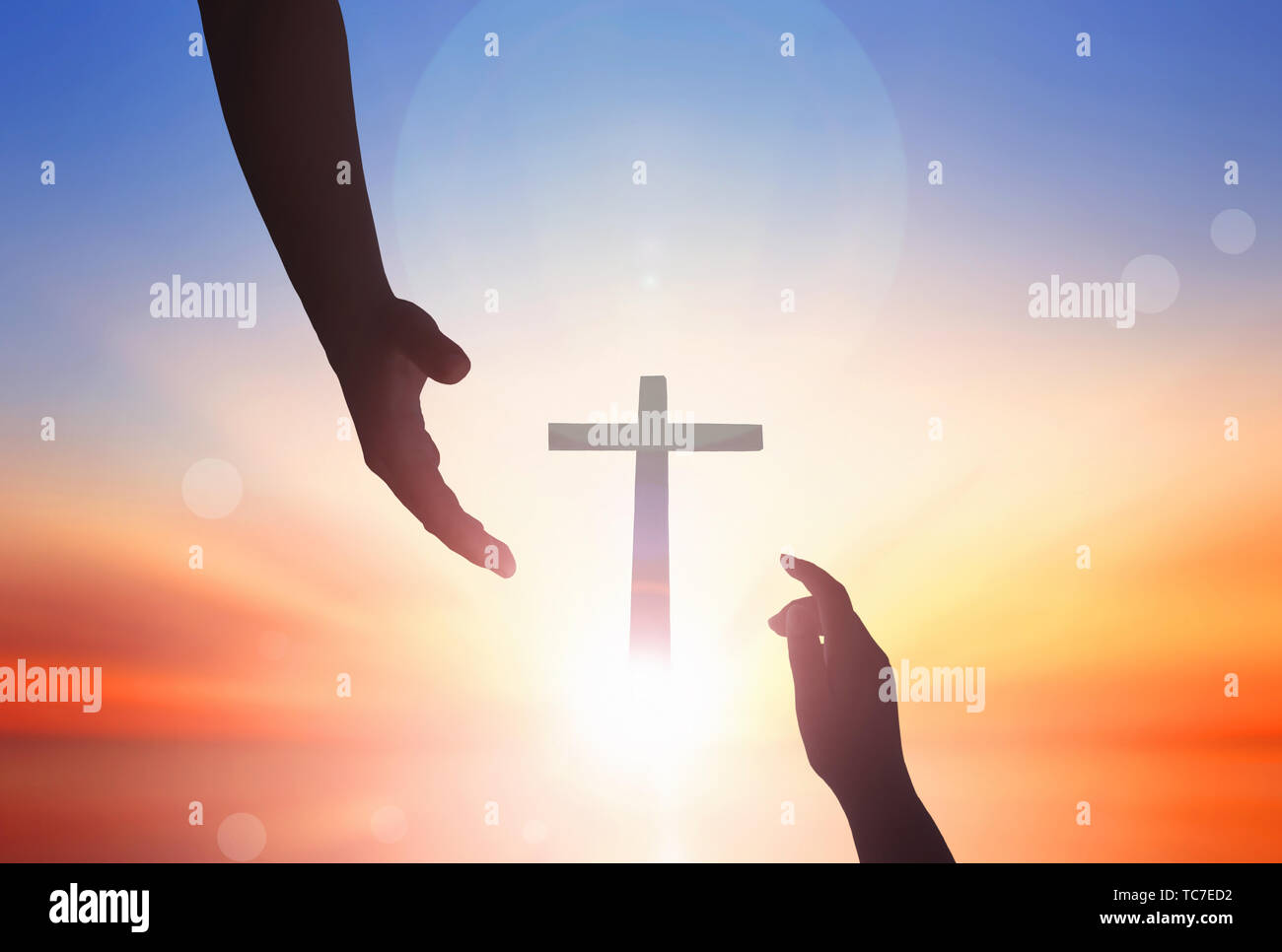 Hand to help Stock Photo - Alamy