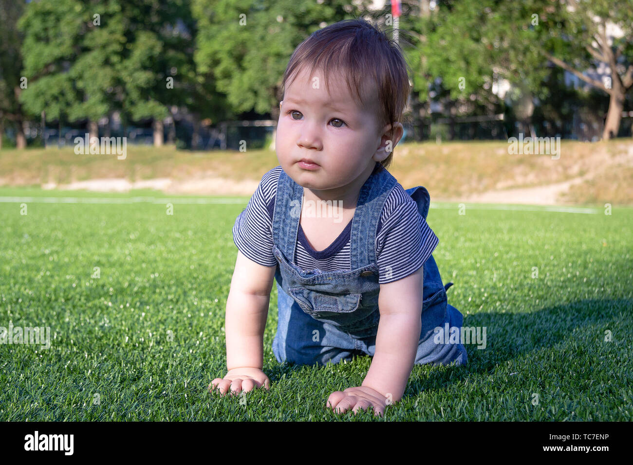 Kid crawling on the grass on a summer day Stock Photo - Alamy
